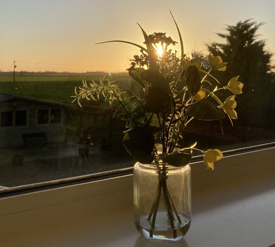 Morning light | Alison666 | Blipfoto