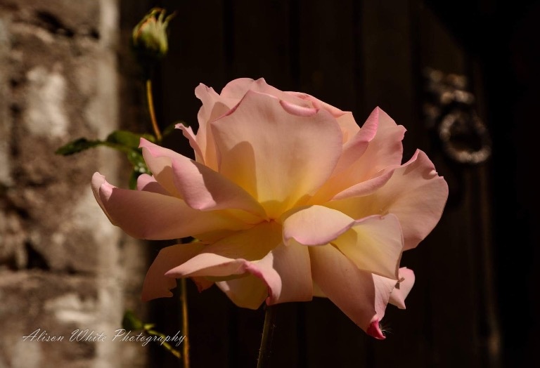 Moulton Church | Alison666 | Blipfoto