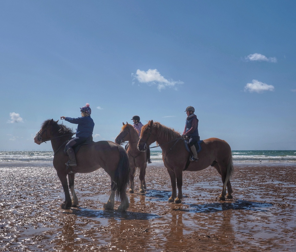 Silecroft | Technophobe | Blipfoto