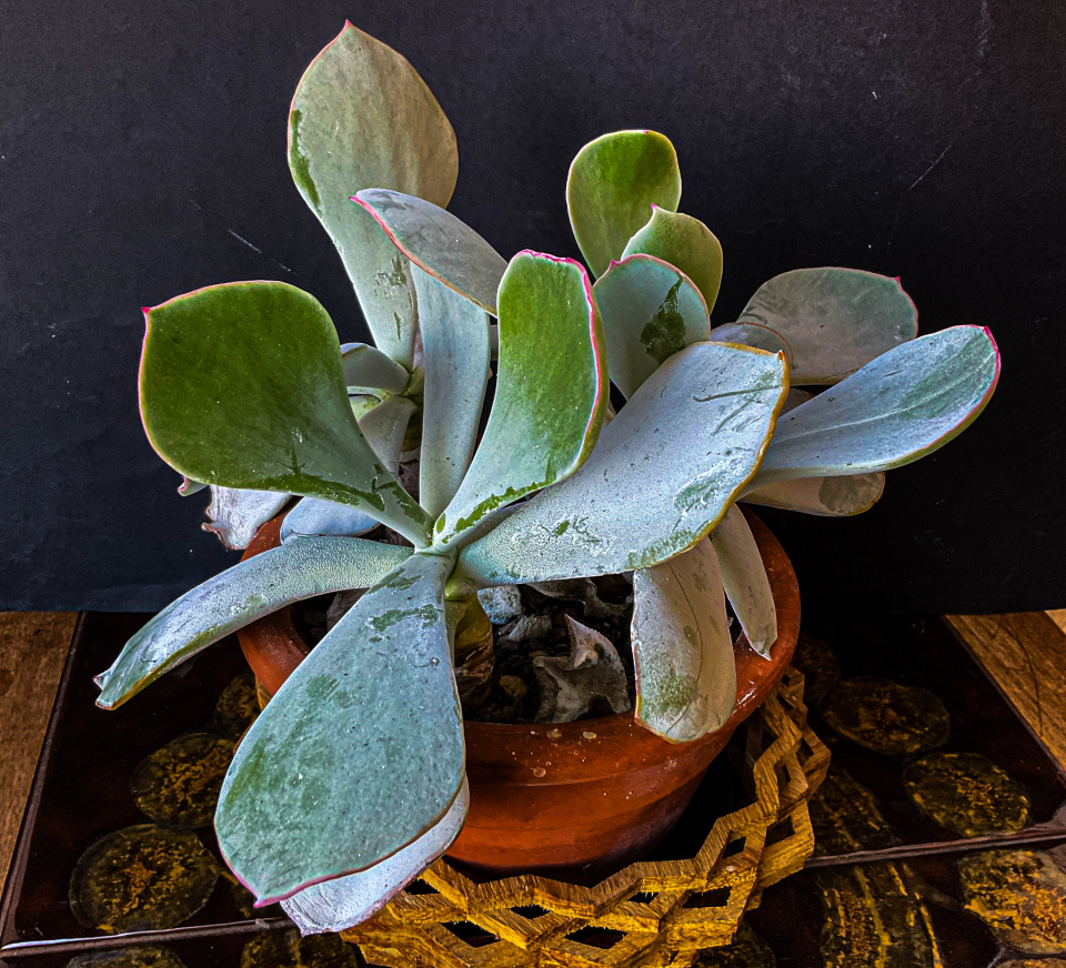 more Once your friends... | Knottman2 | Blipfoto