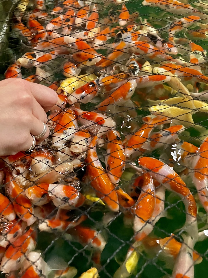 What a day | Jaybay | Blipfoto