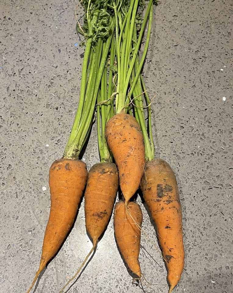 HOT AND BOTHERED | KJD | Blipfoto