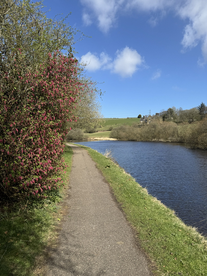 Sudden spring | Ellisroger | Blipfoto