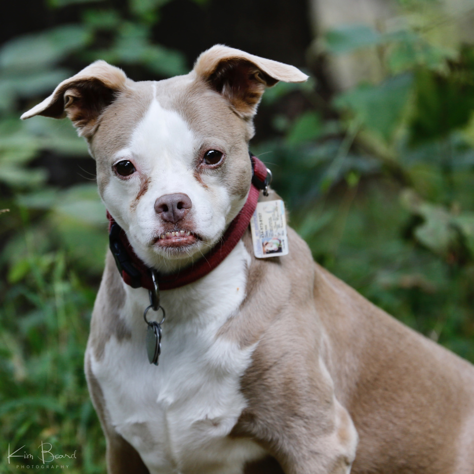 Swee'pea | Kimb | Blipfoto