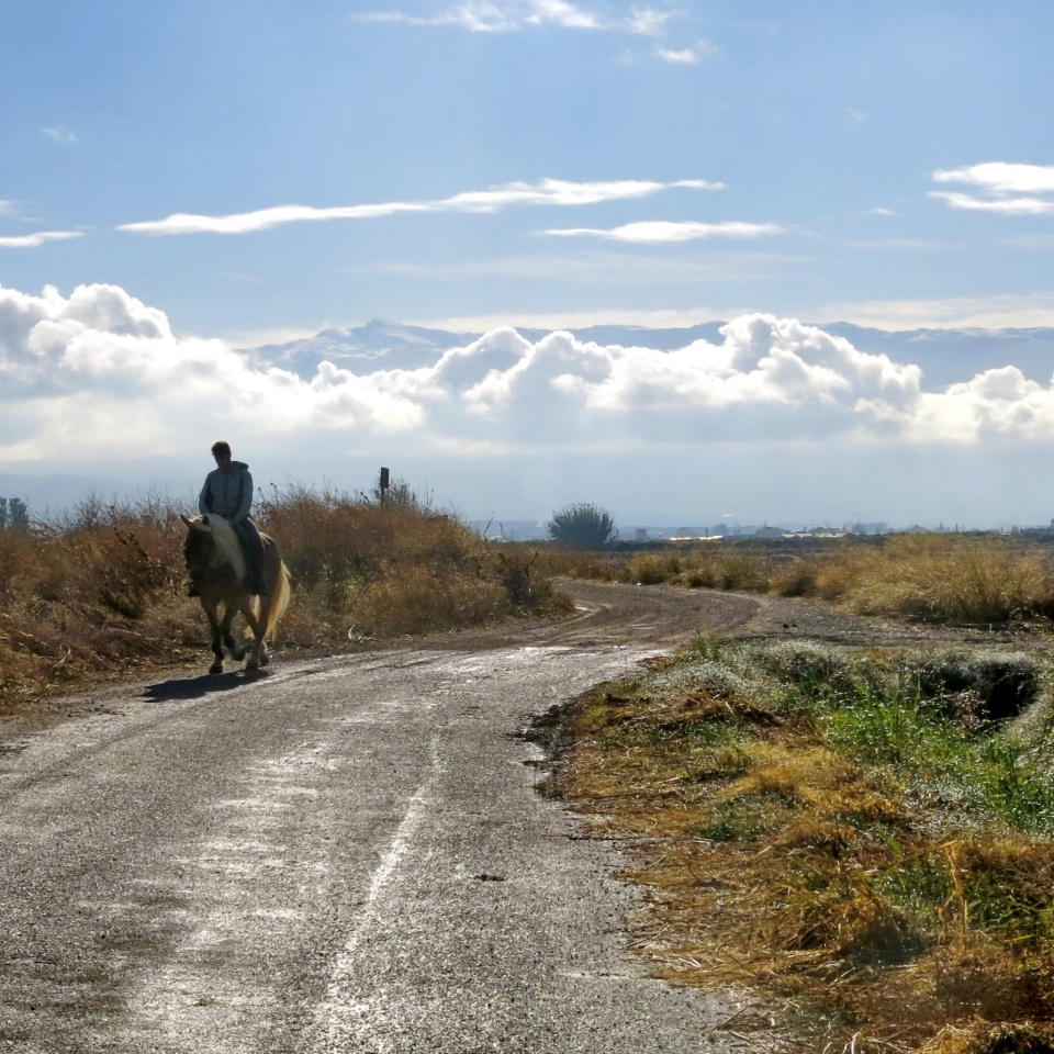 The lonely rider | acula | Blipfoto