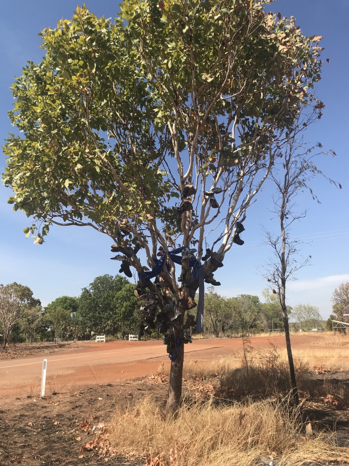 Shoe tree | Enzotraveldog | Blipfoto