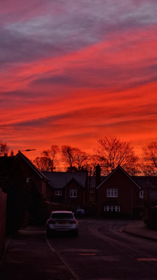 On fire. | MumOf4Wildlings | Blipfoto