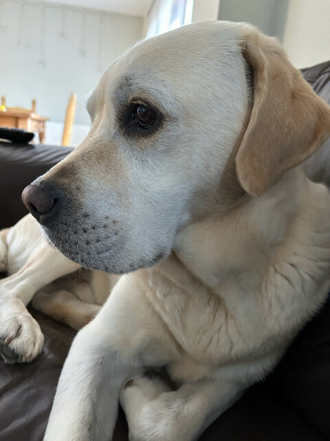 Freaky Friday On A Sunday | Princessnthedog | Blipfoto