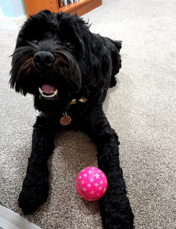 Please | Greygranite1745 | Blipfoto