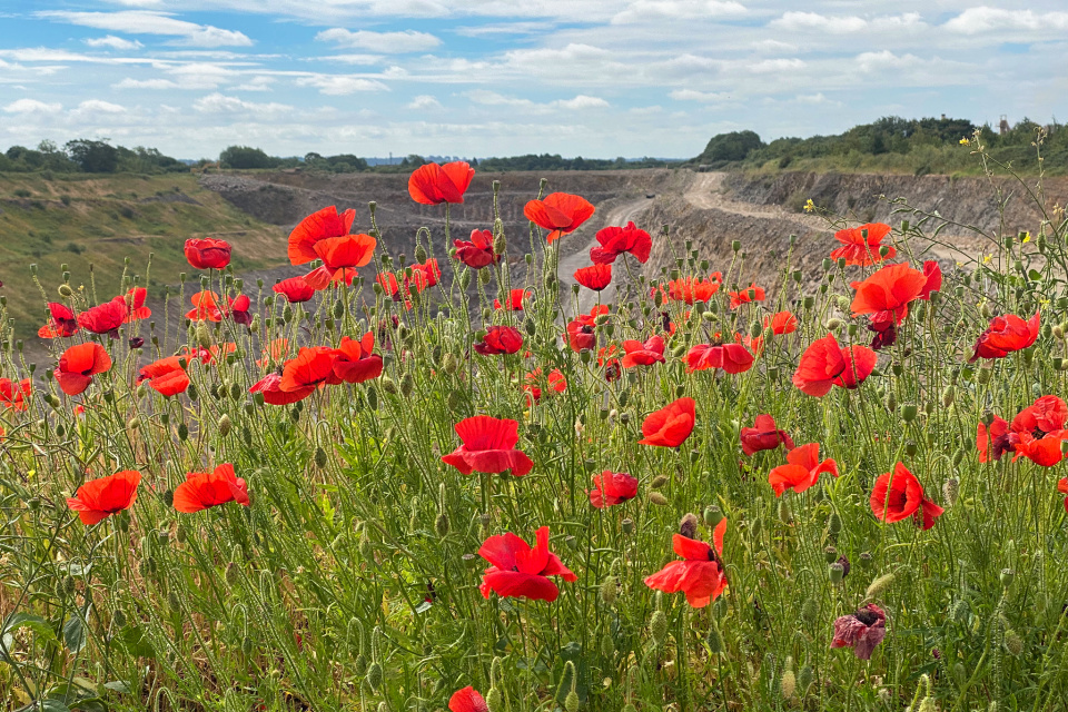 Broken Ground | Incredibish | Blipfoto