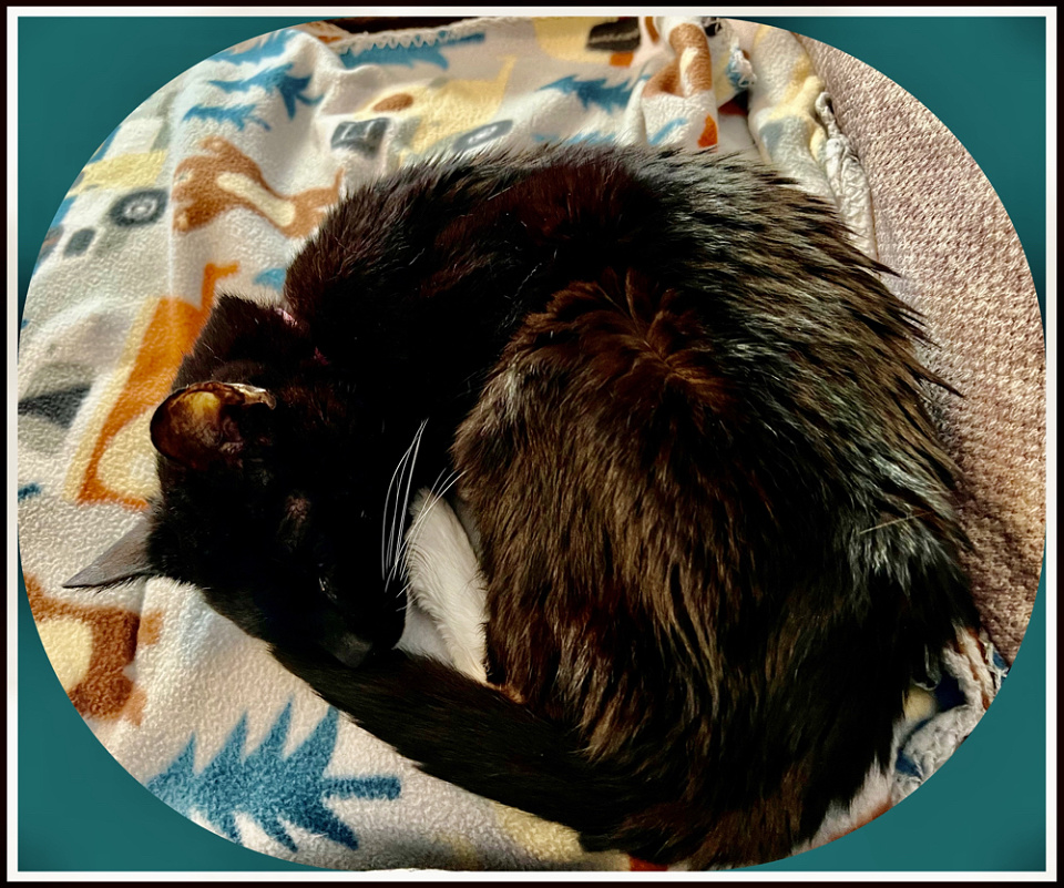 “Millie and Me” | Grammy | Blipfoto