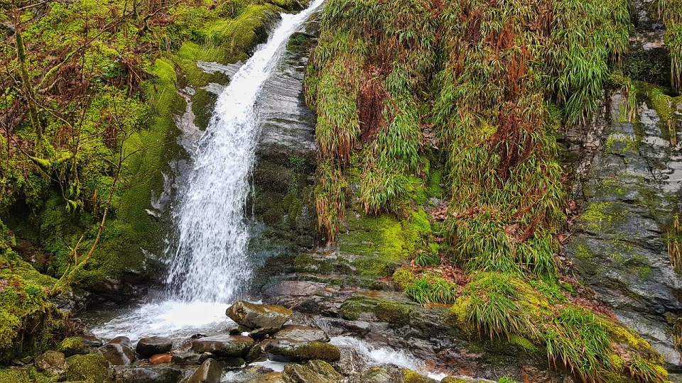 Holme Force, Loweswater | trevorearthy | Blipfoto