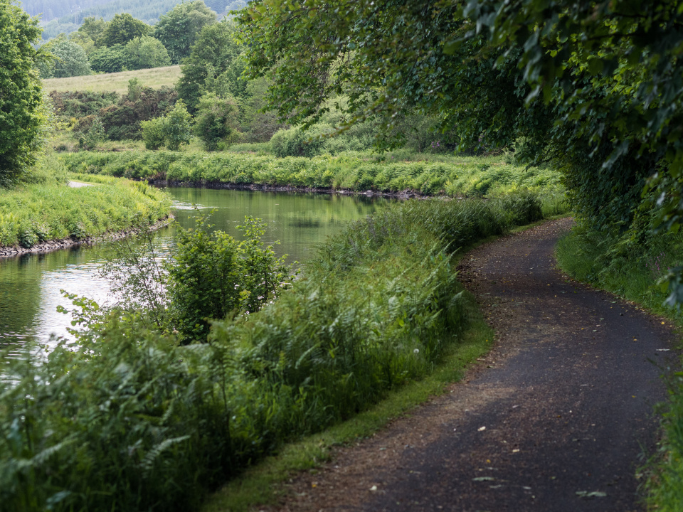 Squiggly path | MotherShipton | Blipfoto