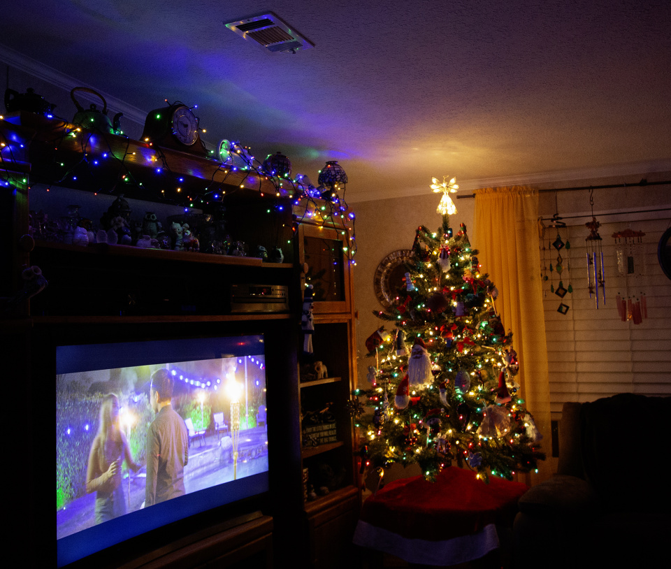 Tis The Season | bugsman | Blipfoto