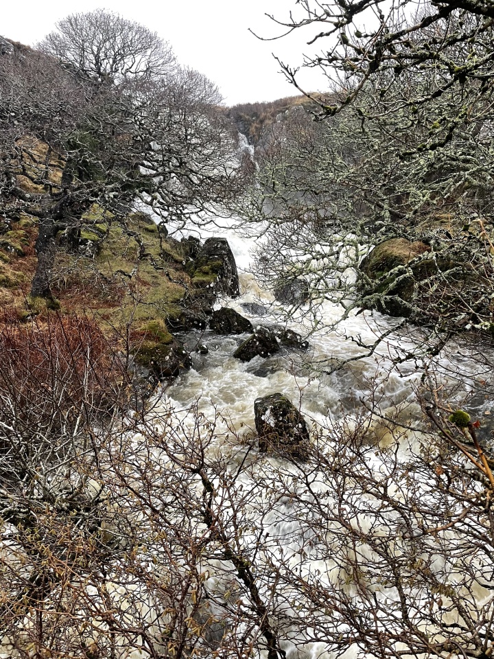 Mull III: Amber Warning | FergInCasentino | Blipfoto