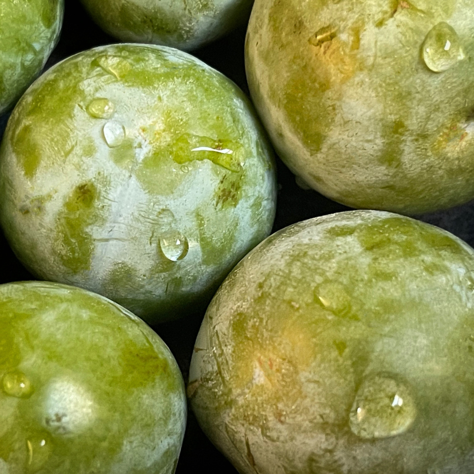 greengages | sk | Blipfoto