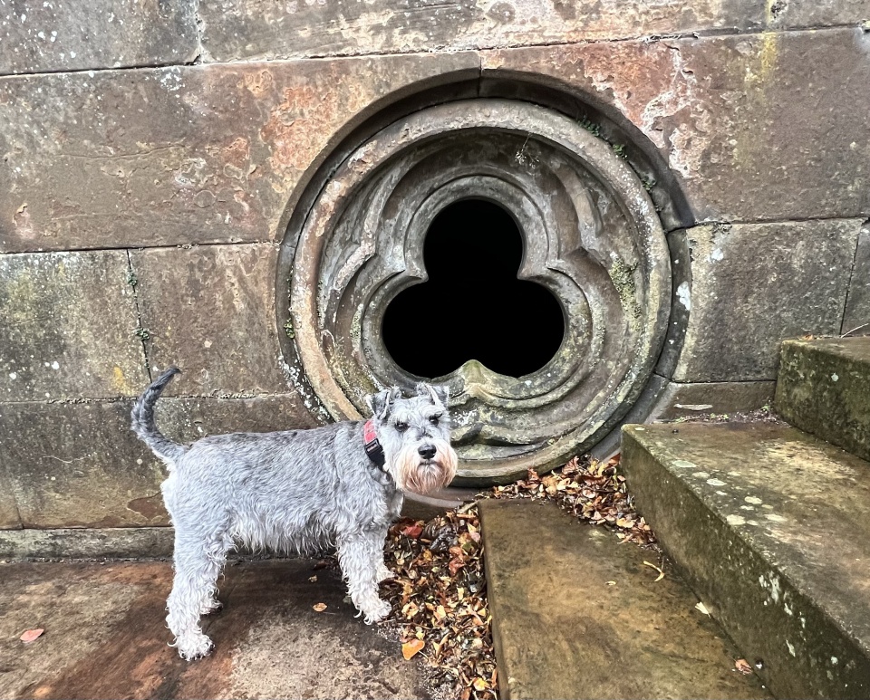 I am SO stupid. Repeat... | LadyMarchmont | Blipfoto