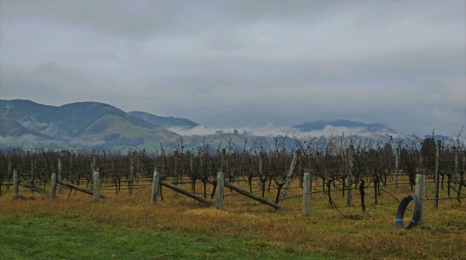 Out In The Country | V1k1 | Blipfoto