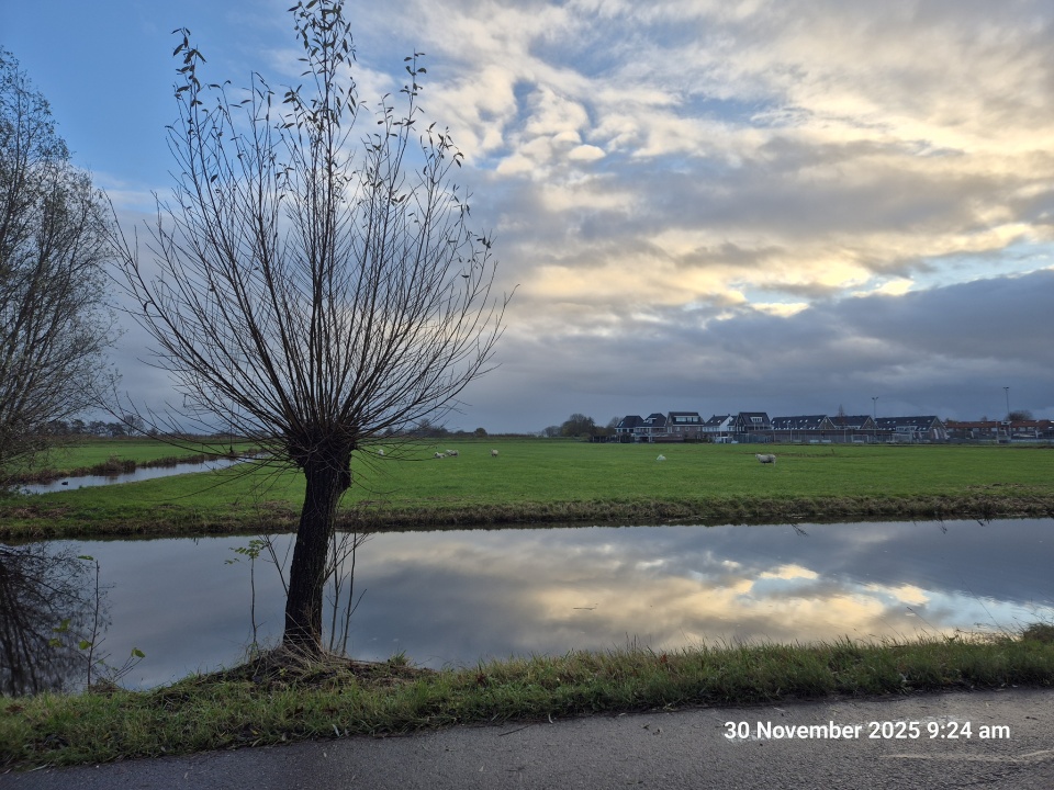 The End of November | inkstainedhands | Blipfoto