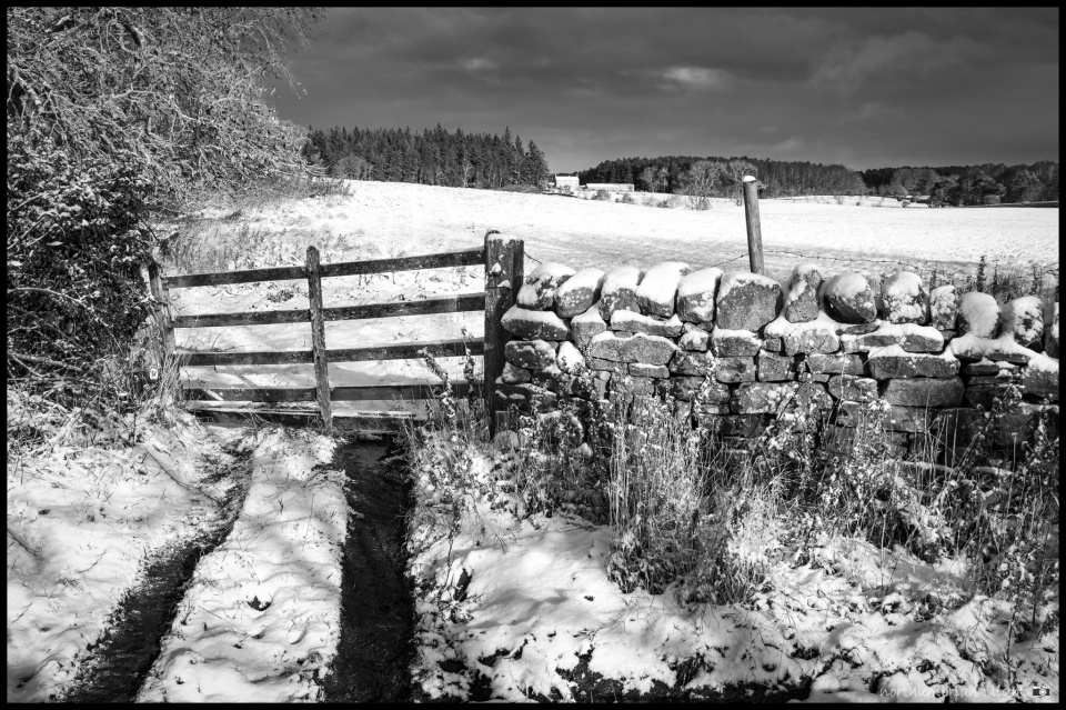 More snow ... | RobinDown | Blipfoto