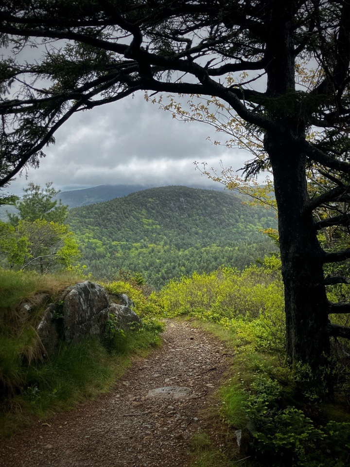 Acadia Mtn. from Canada Cliffs | madowoi | Blipfoto