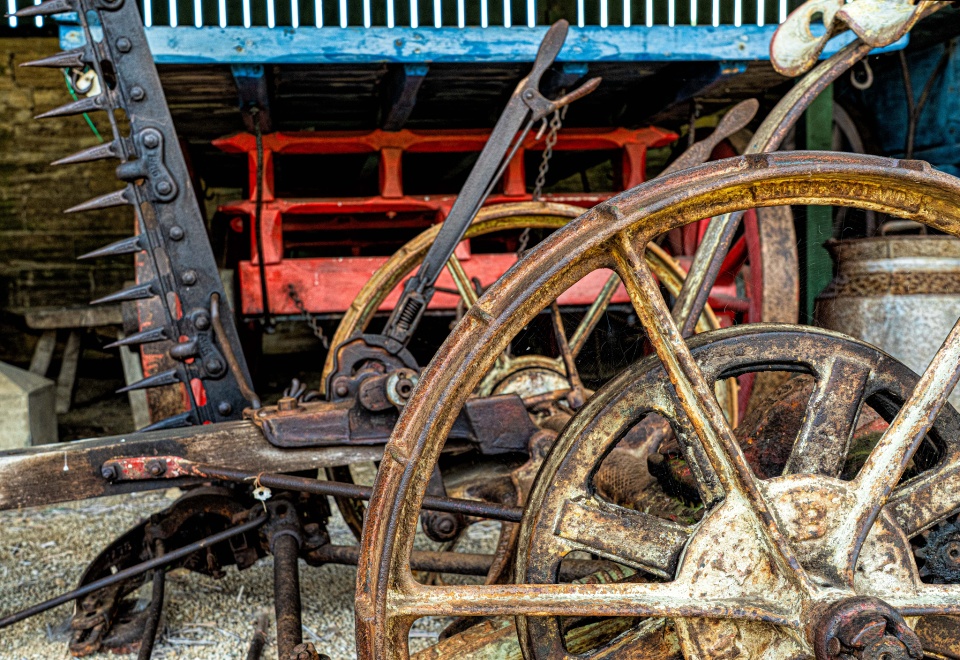 What Is It? | fitzbilly | Blipfoto