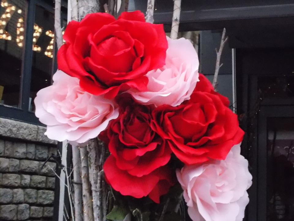 Roses | Redberry | Blipfoto