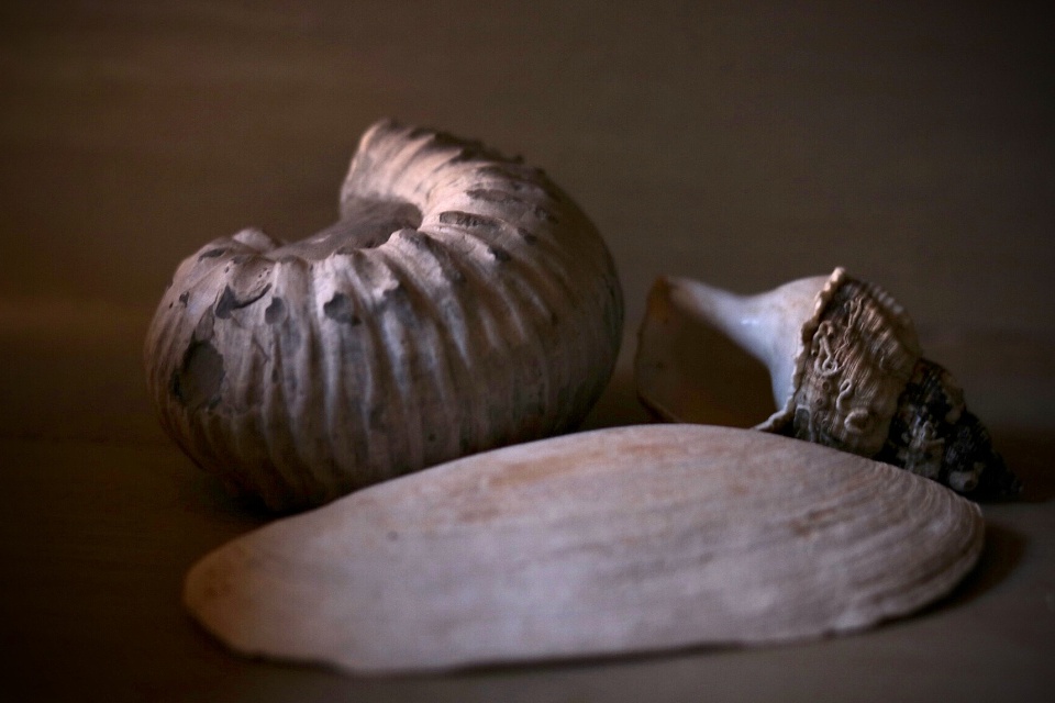 Still life | Jaybay | Blipfoto