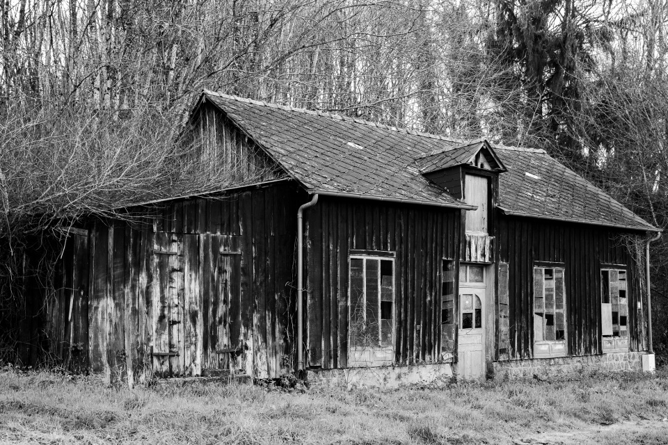 Rain, rain... | suzb2 | Blipfoto