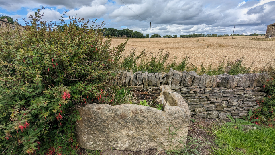 A stone water trough... | 60plus11 | Blipfoto