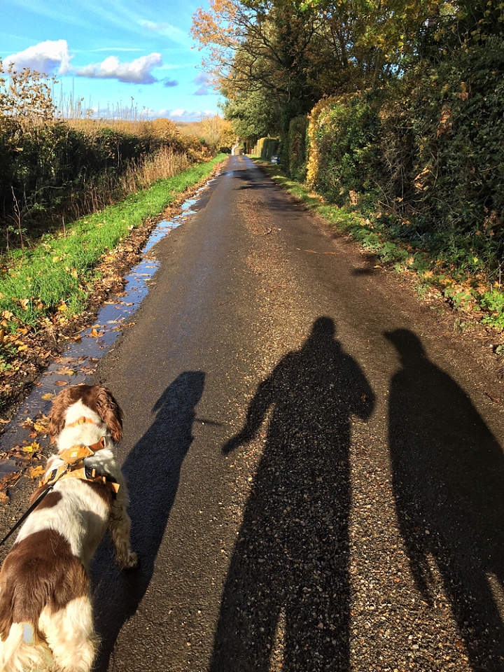 Afternoon shadows! | brfm | Blipfoto