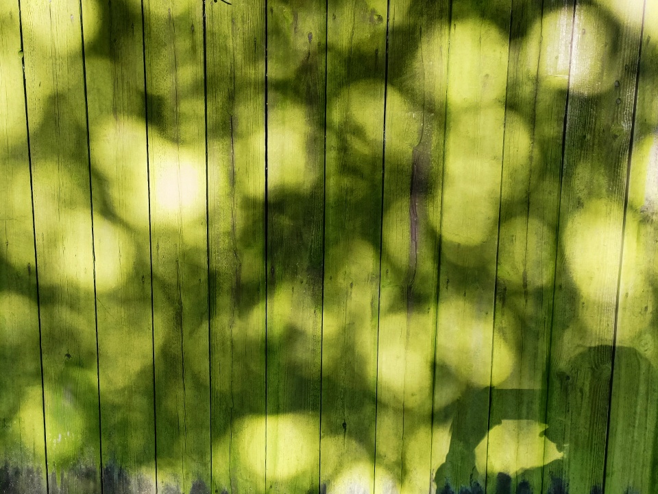 Shadow and Light | AKM3 | Blipfoto