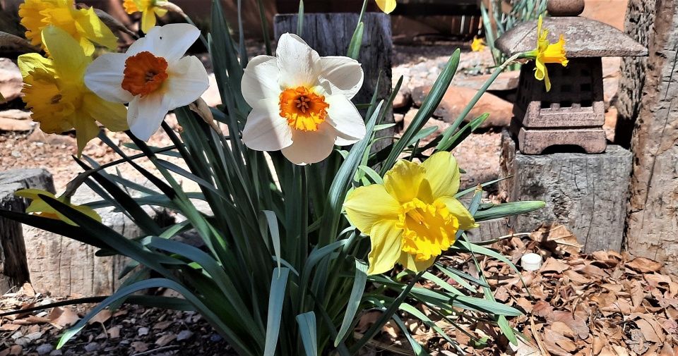 Spring! | MovableParts | Blipfoto