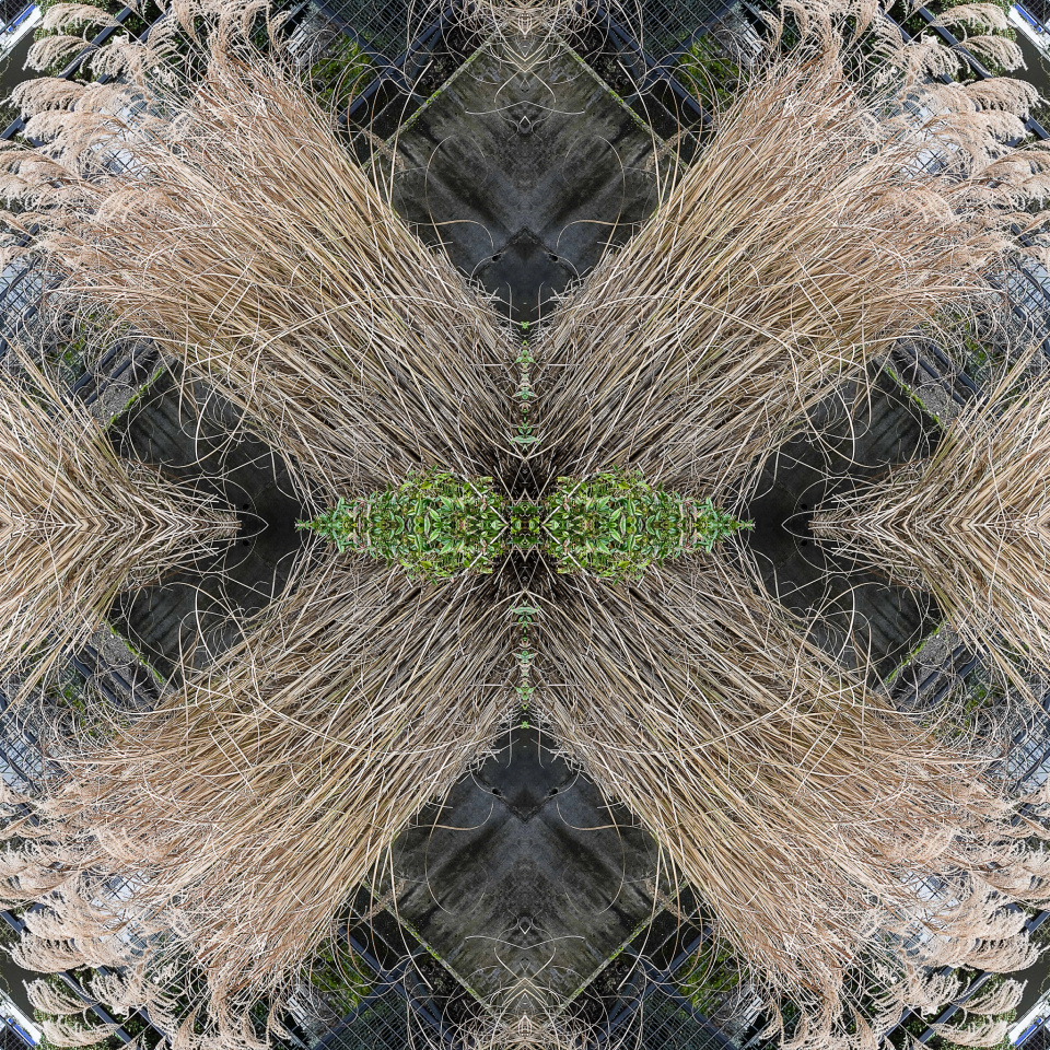 Abstract pattern | NannaK | Blipfoto