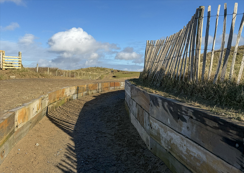 If there are shadows | suejay50 | Blipfoto