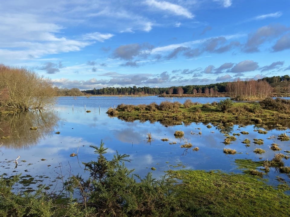 Longmoor | Nicktor | Blipfoto