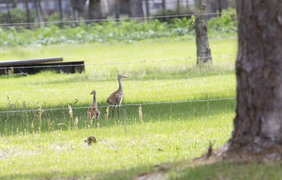 Getting Bigger | bugsman | Blipfoto