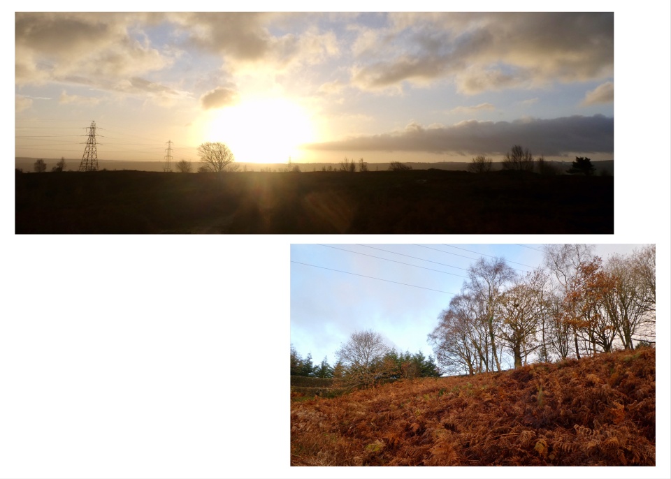 Early sun on the moor | Jeanneb53 | Blipfoto