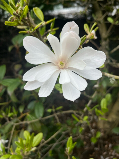 Placeholder | dbifulco | Blipfoto