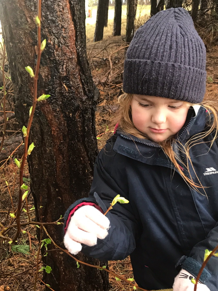 Signs of Spring | Beinghere | Blipfoto