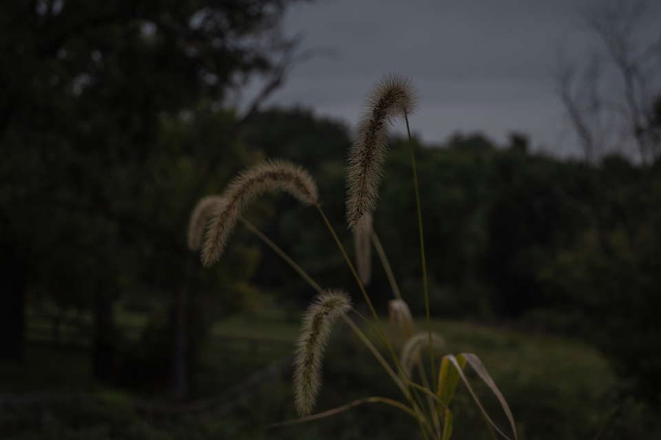 One more gray day | libeccio | Blipfoto