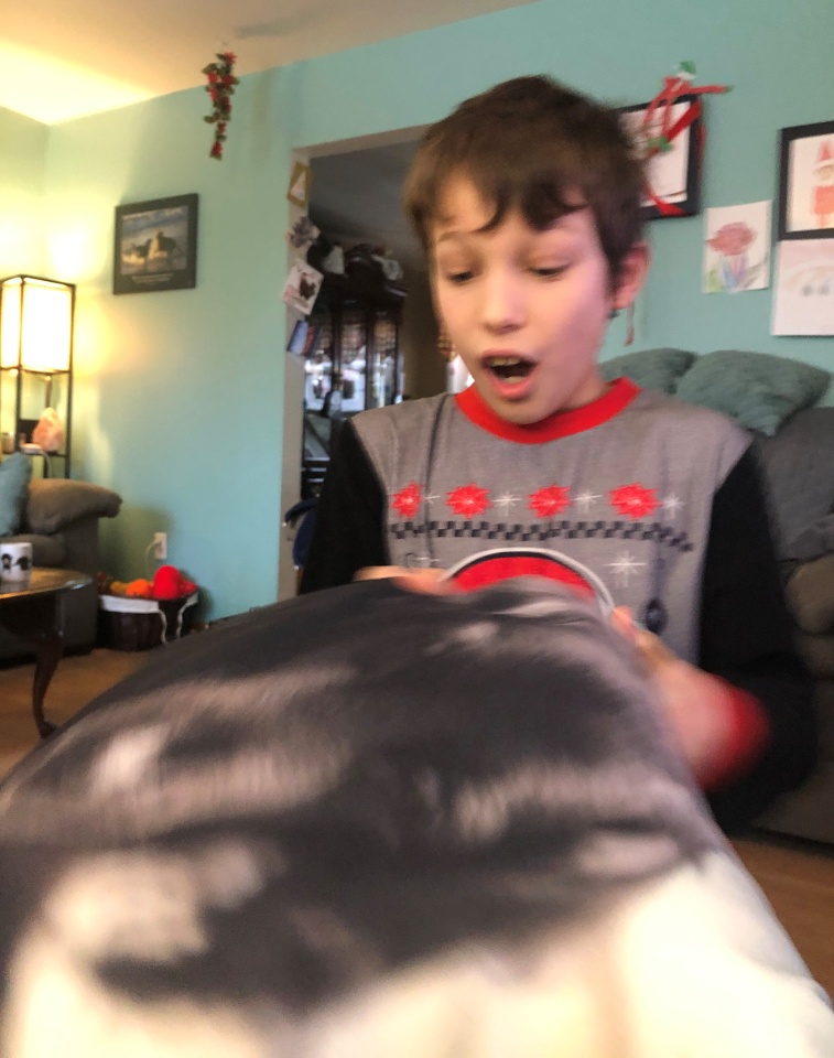 A Blurry Face Of Awe / Excitement | TurtleBug | Blipfoto