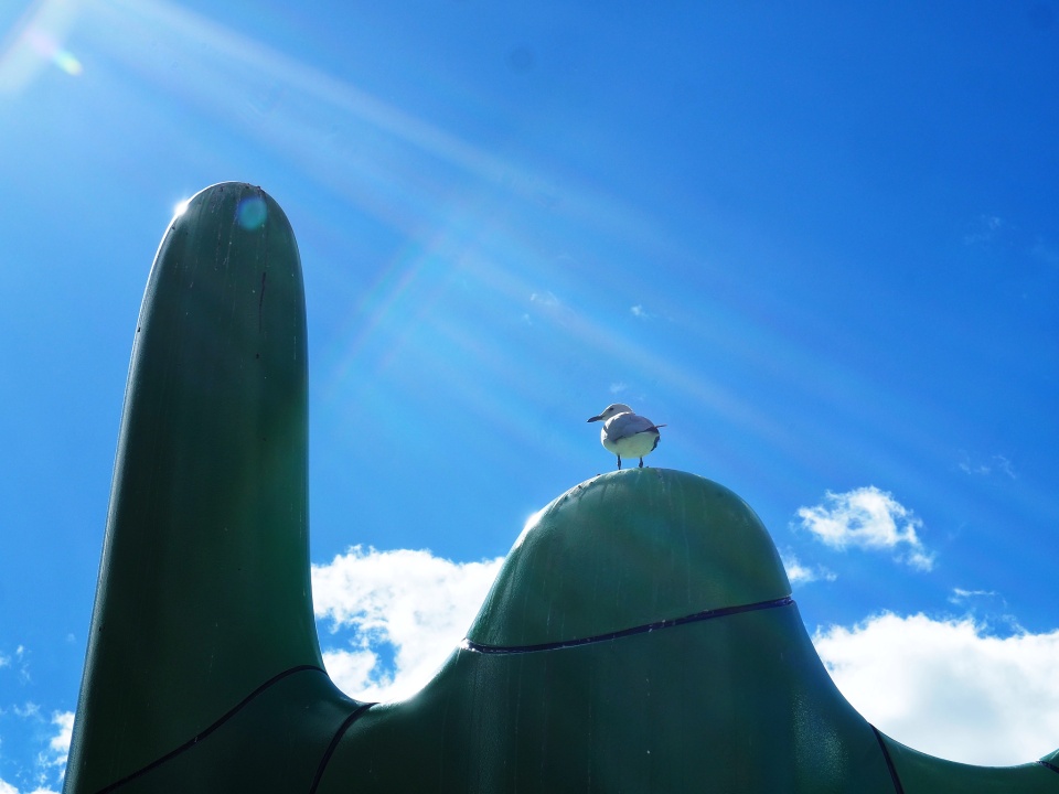 Catching Some Rays | DonnaWanna | Blipfoto