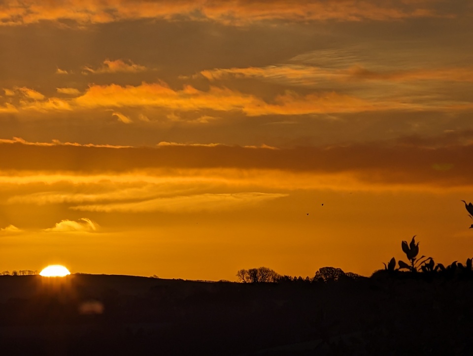 As Night Follows Day | Melisseus | Blipfoto