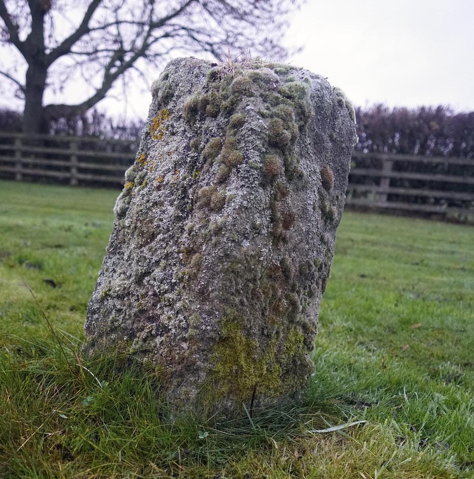 Staddle Stones | StuartDB | Blipfoto