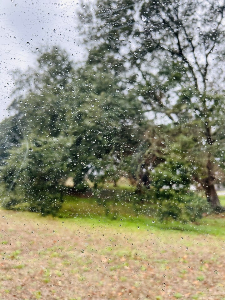 Still Raining | Doingok | Blipfoto