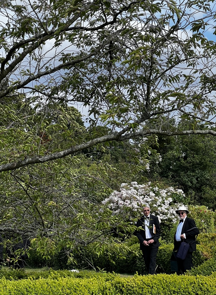 Lost penguins | pixelpixie | Blipfoto