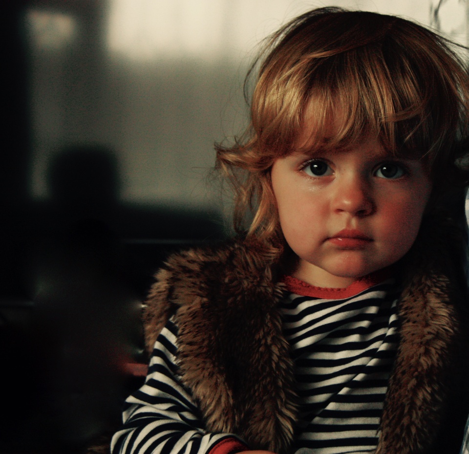 It's a serious business | spishy | Blipfoto