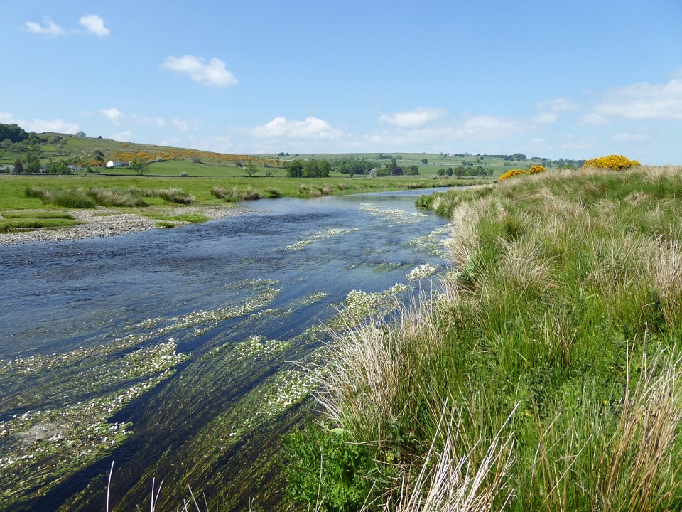 River Lowther. | Hazelina | Blipfoto