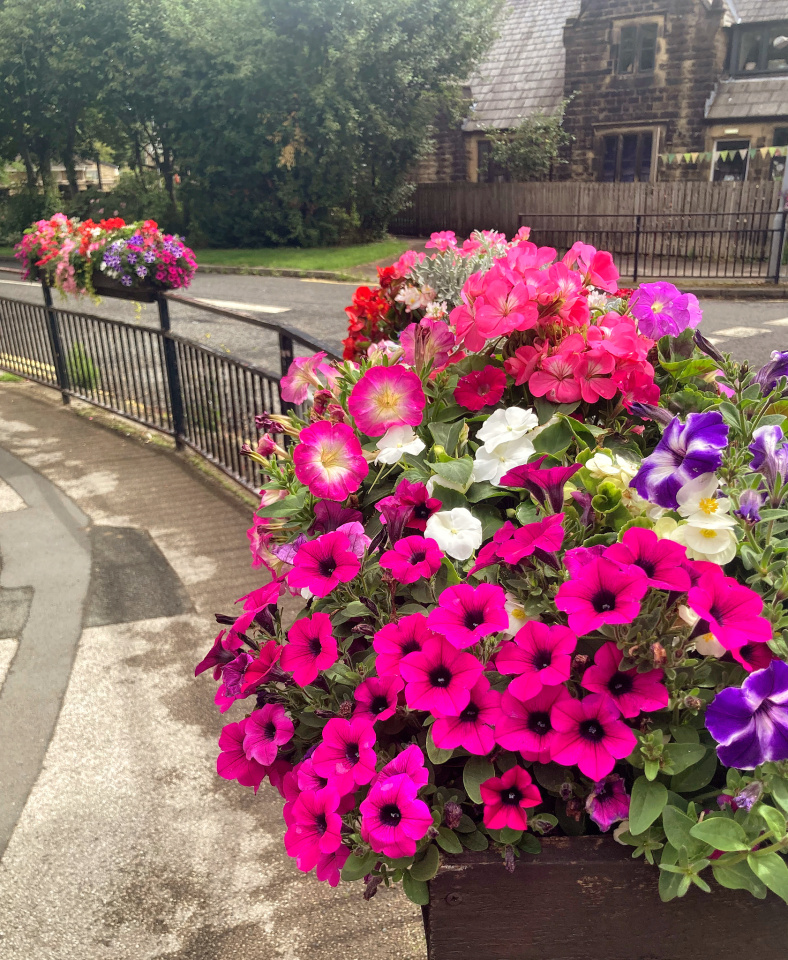 The Street Where l Live | mambo | Blipfoto